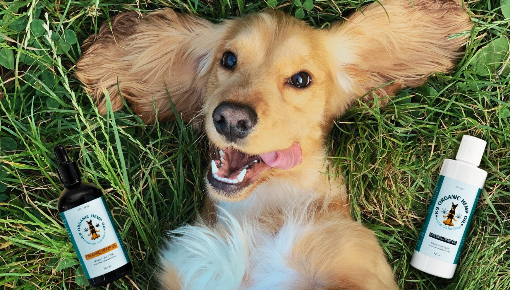 K9 Organic Hemp Oil